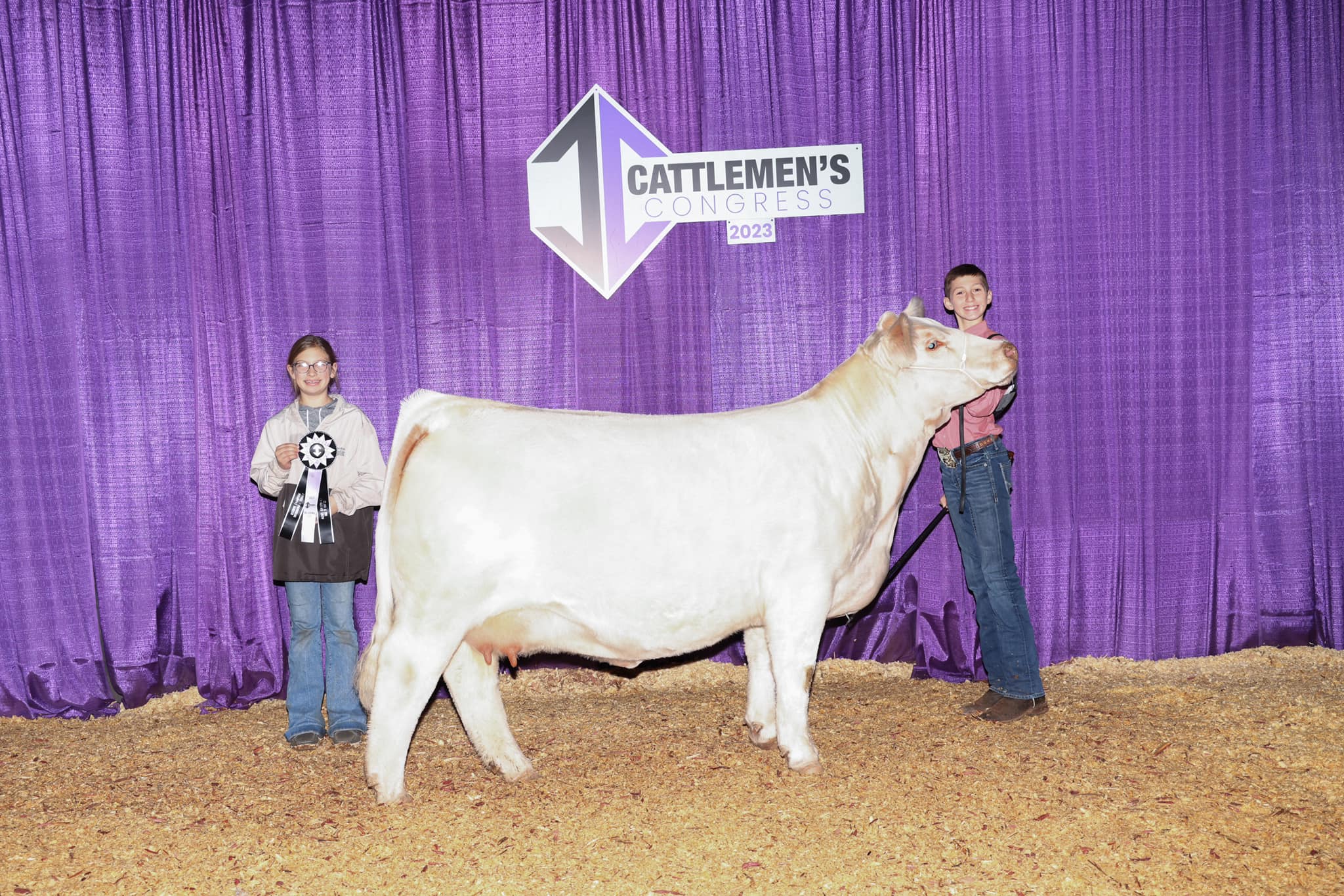 CAT Lady Jett 153C "JJ" - Charolais Donor Cow - CAT Cattle Fair Grove MO