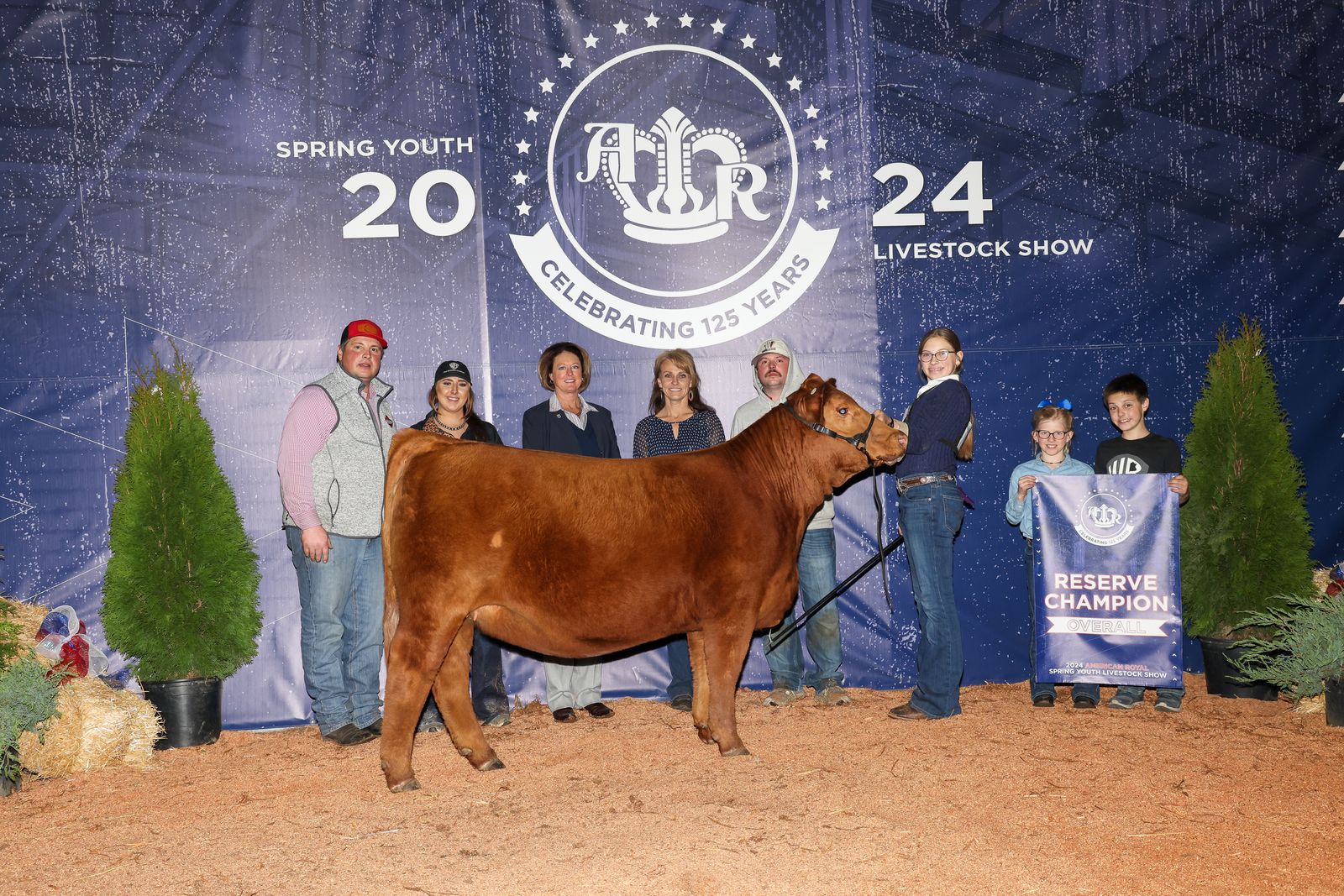 For Sale: Beef Embryos, Beef Semen, Replacement Heifers, Show Heifers ...