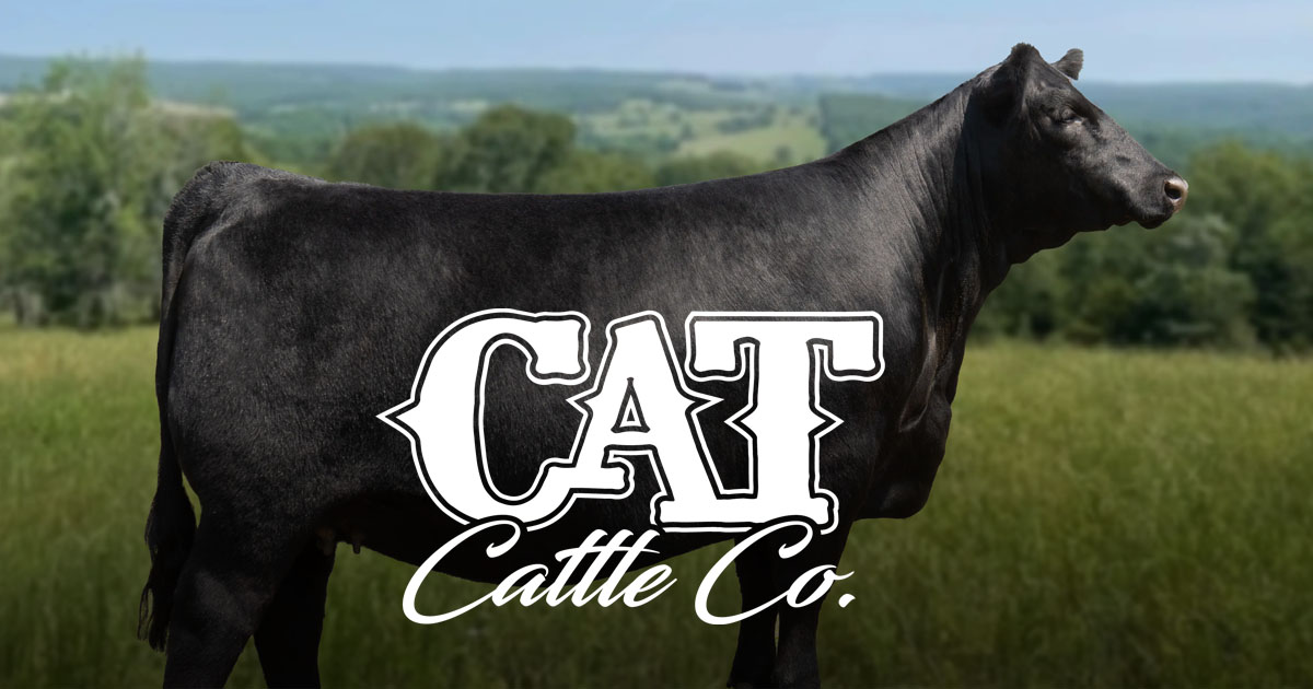 CAT Cattle Co are Angus and Simmental Producers in Southwest Missouri.