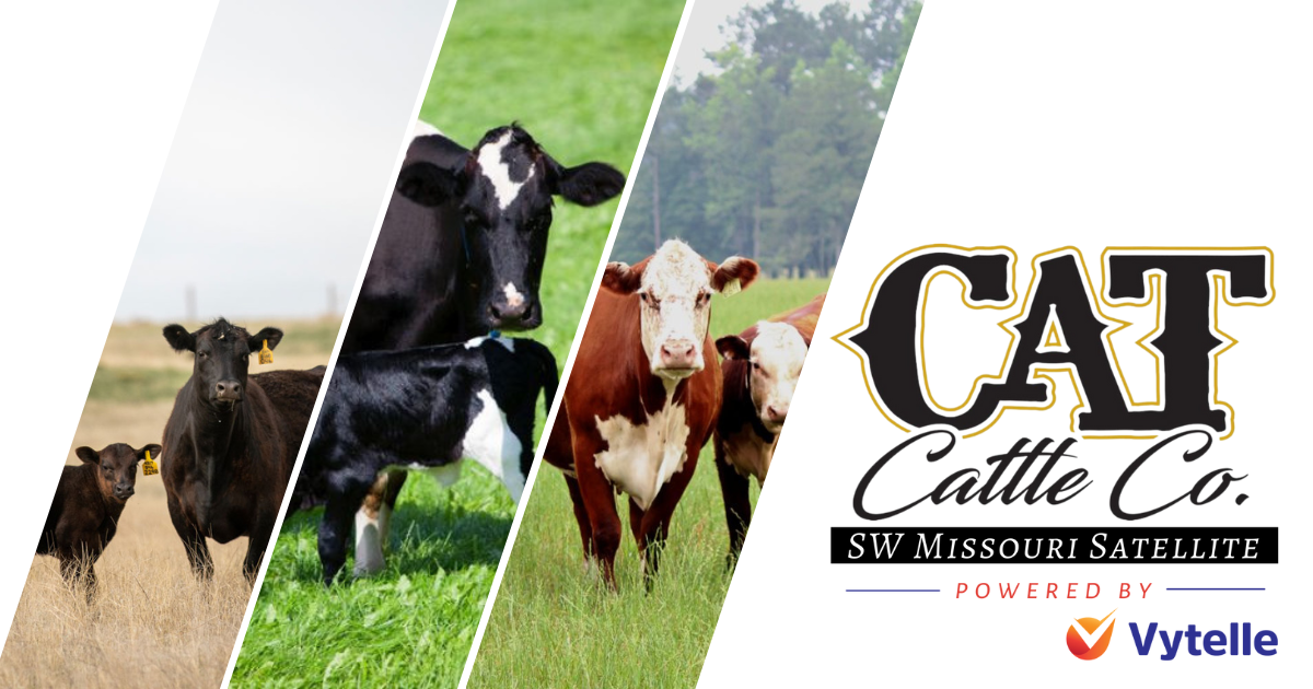 CAT Cattle is a Vytelle Drug-Free IVF Satellite location for Southwest ...